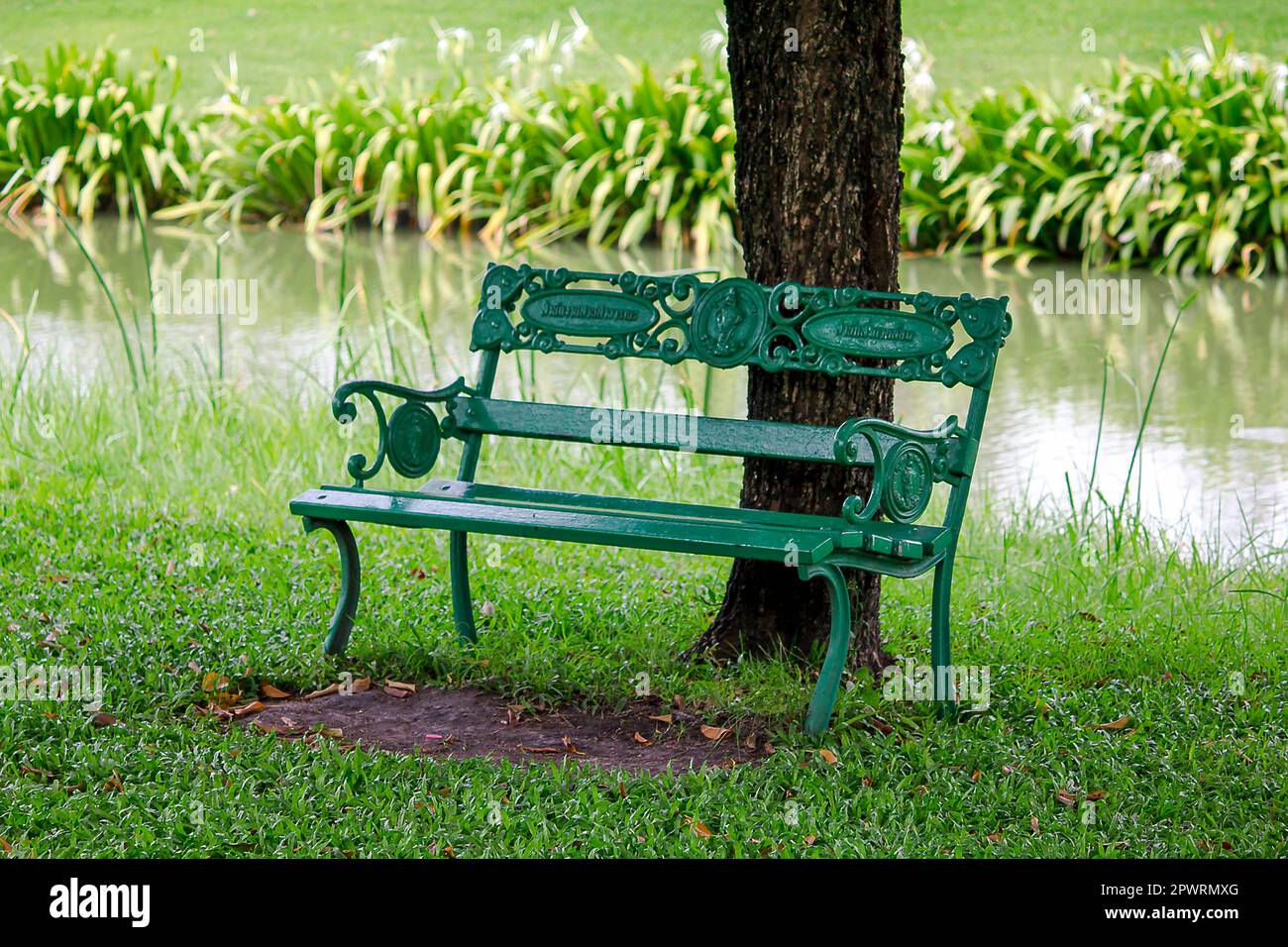 Sit under the shade tree hi-res stock photography and images - Alamy
