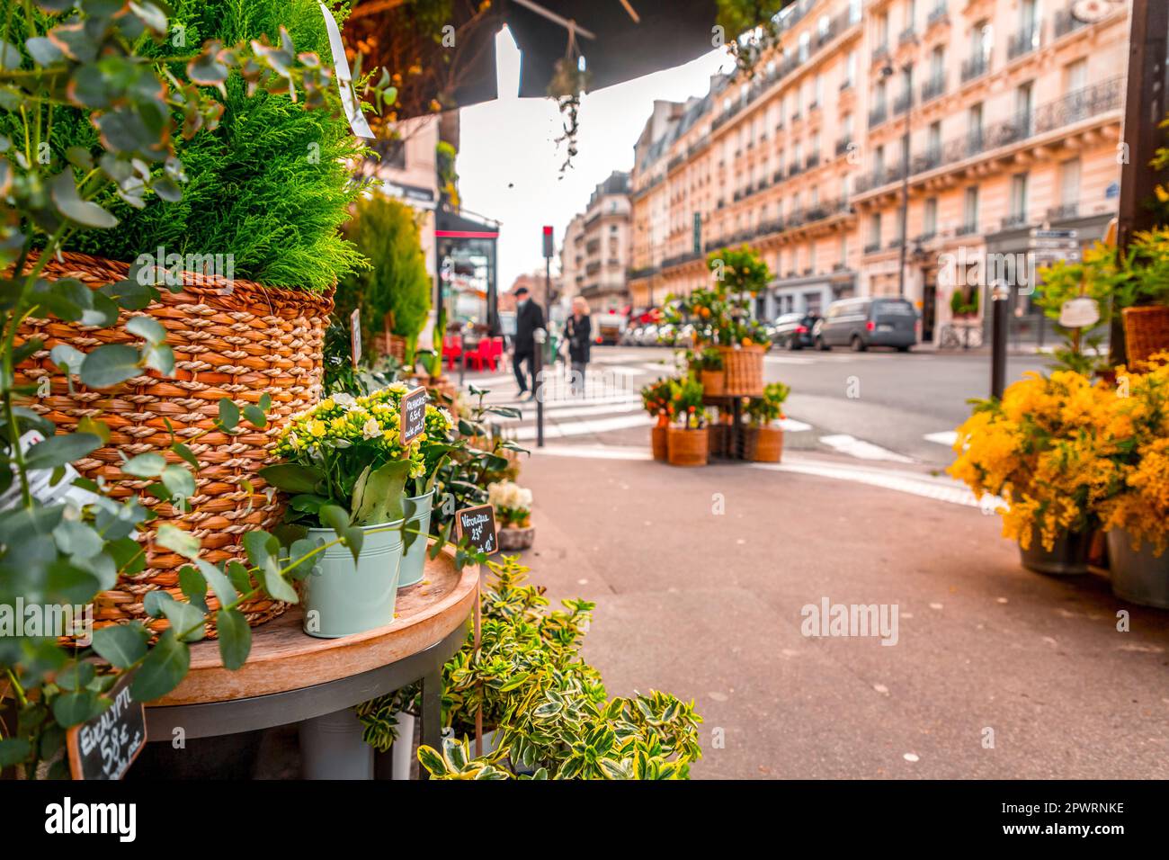 General street view from Paris, the French capital. Typical French ...