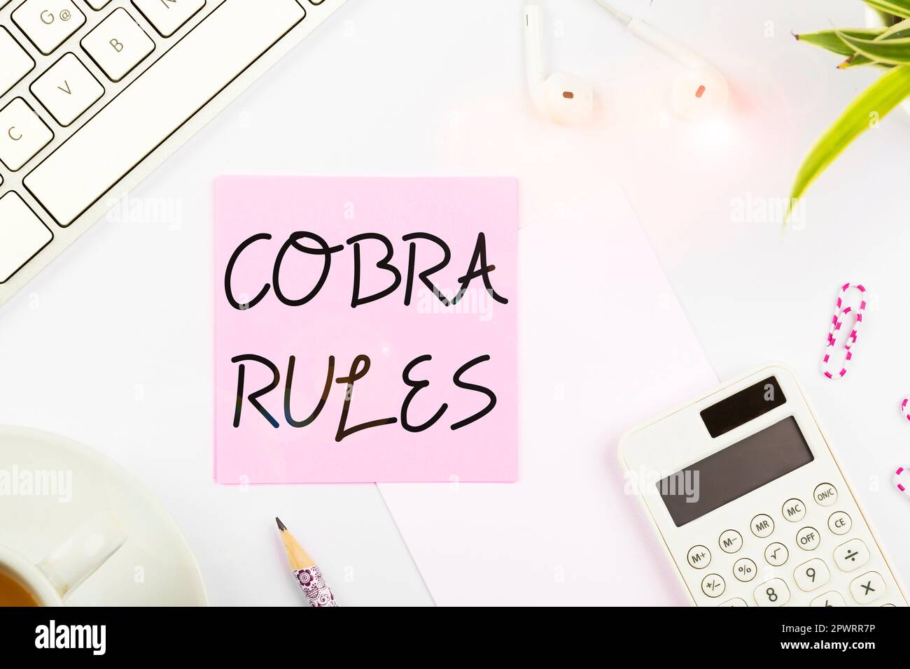 Writing displaying text Cobra Rules, Concept meaning gives workers who ...