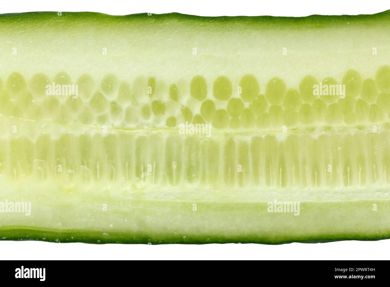 Single fresh raw slice of cucumber close up on white background Stock ...