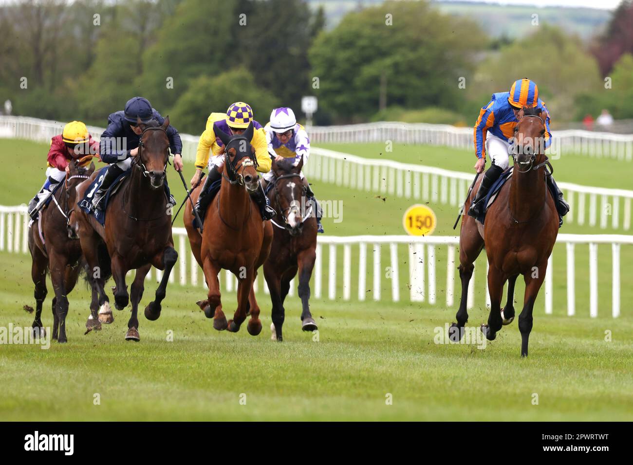 The tetrarch horse hi-res stock photography and images - Alamy