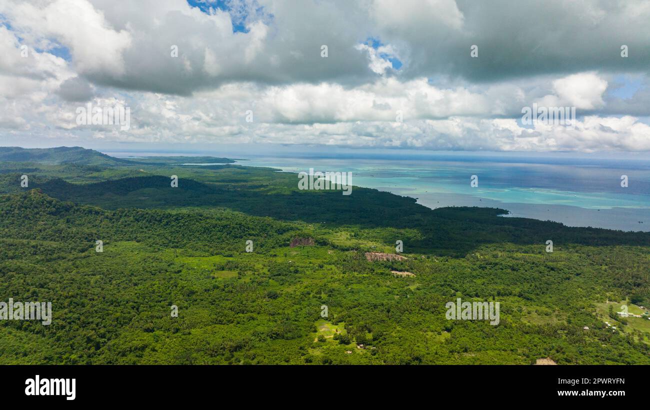 Philippines palawan mangroves forest hi-res stock photography and ...