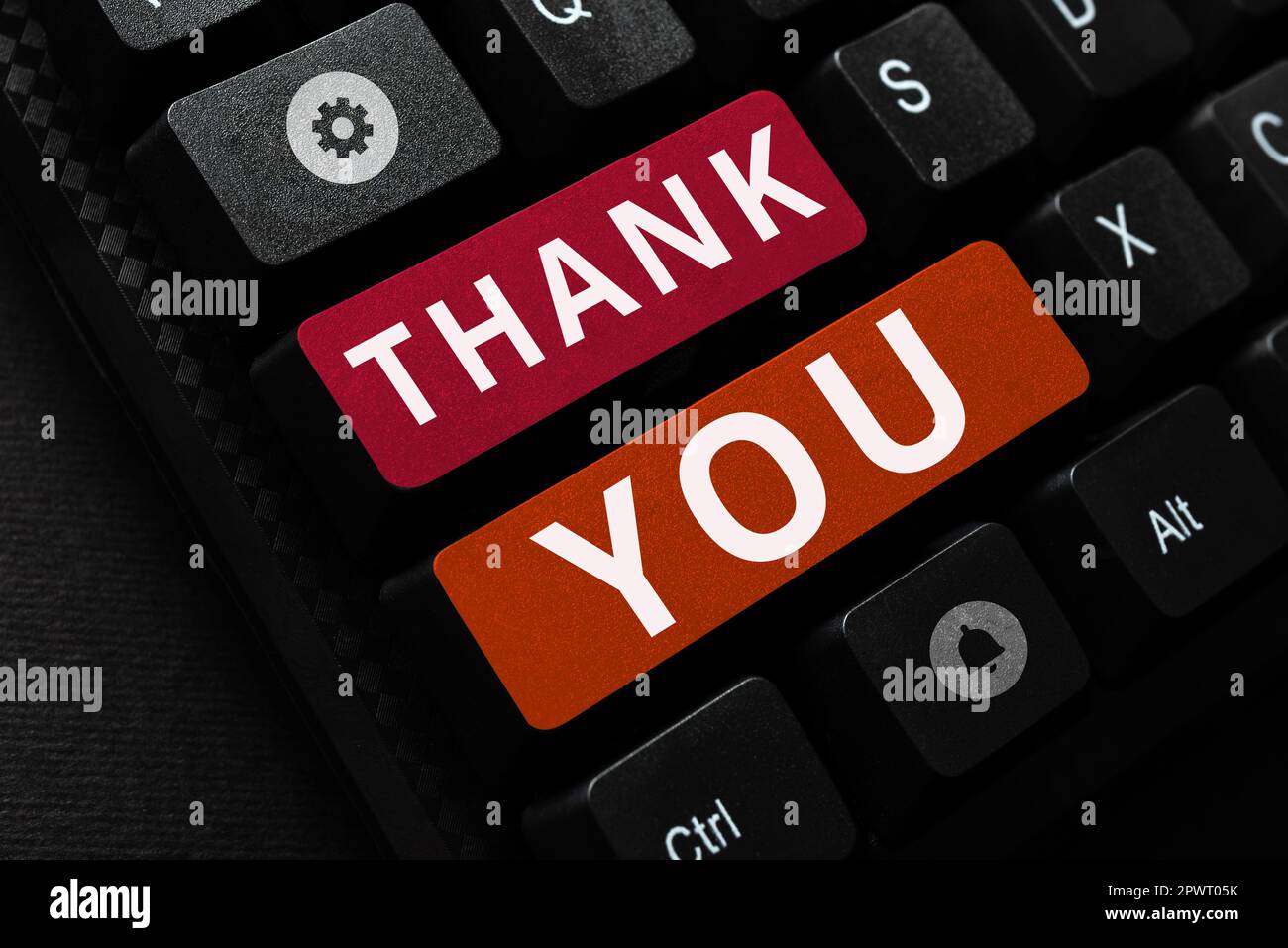 Text sign showing Thank You, Business approach replaying on something ...