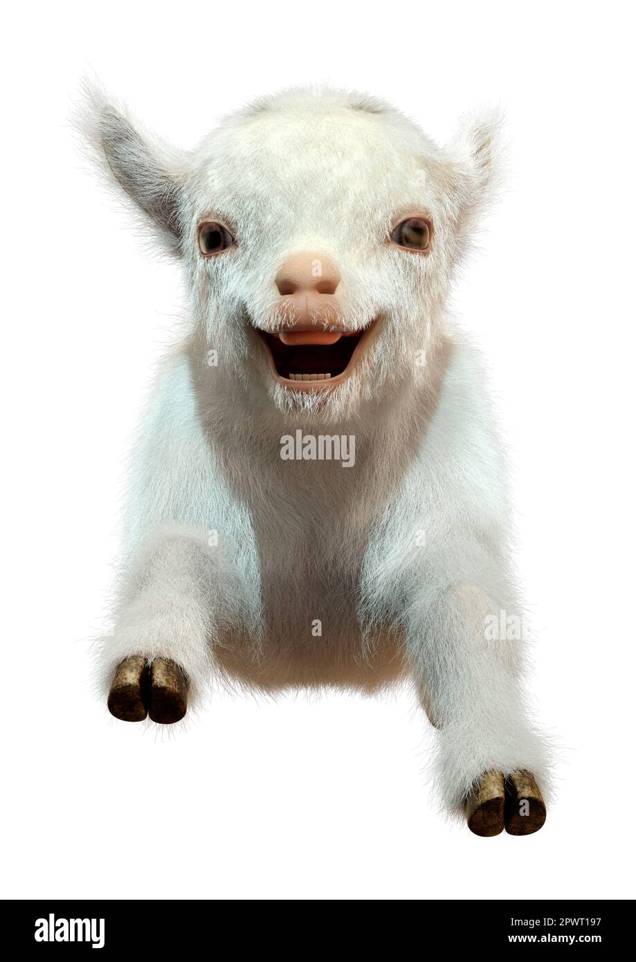 3D rendering of a white baby goat isolated on white background Stock ...