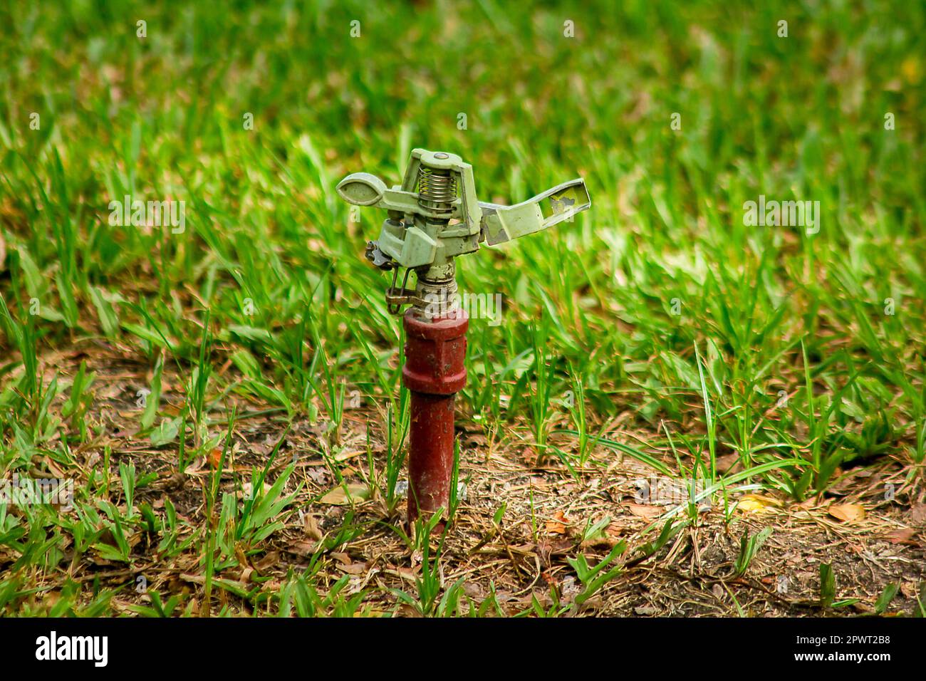 Lawn sprinkler watering bright green hi-res stock photography and ...