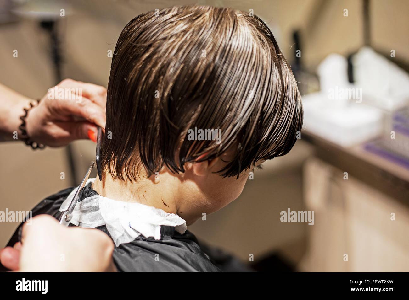 barbershop cuts the tips of wet clean hair at the back of the head with ...