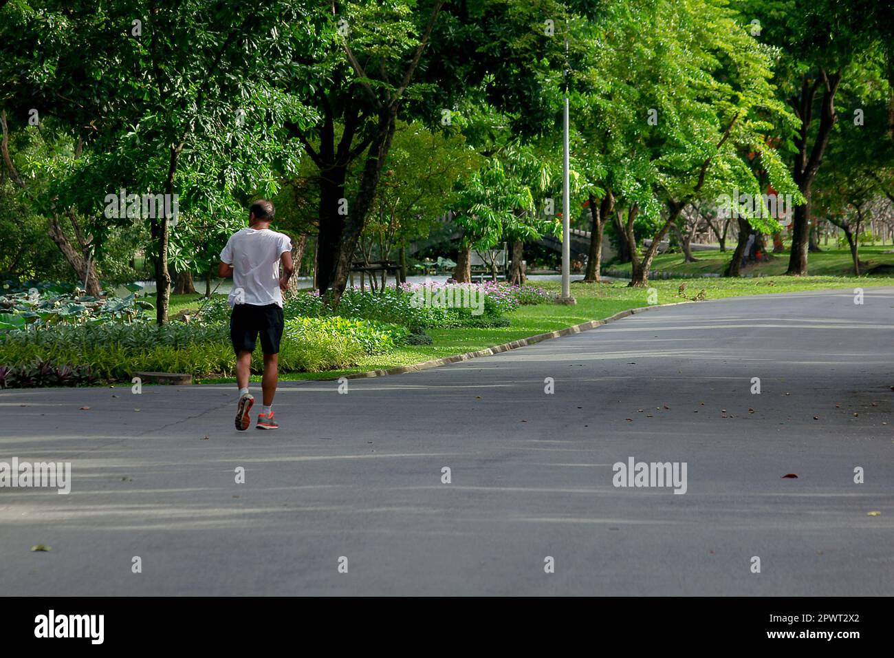 Back view people running hi-res stock photography and images - Alamy