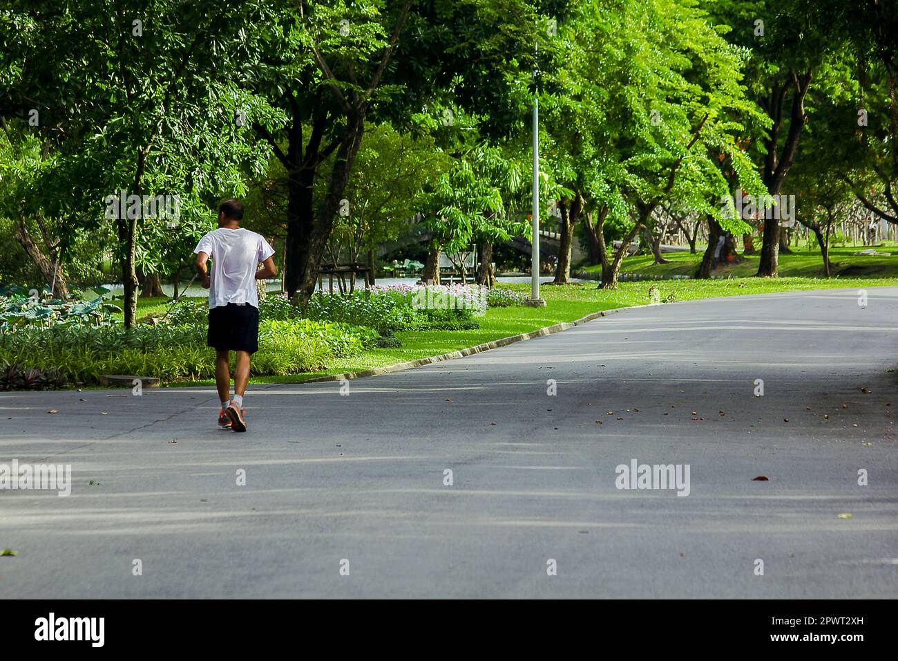 Rear view old man running hi-res stock photography and images - Alamy