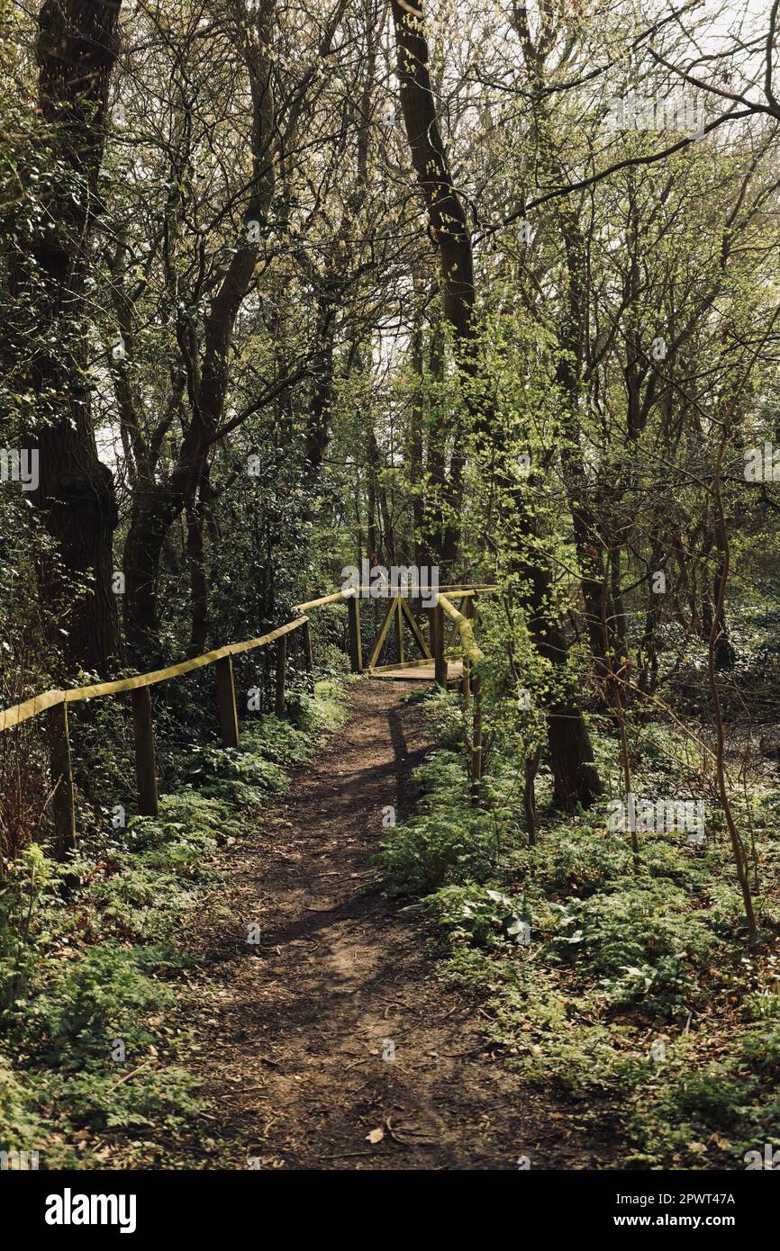 Green pathways hi-res stock photography and images - Alamy