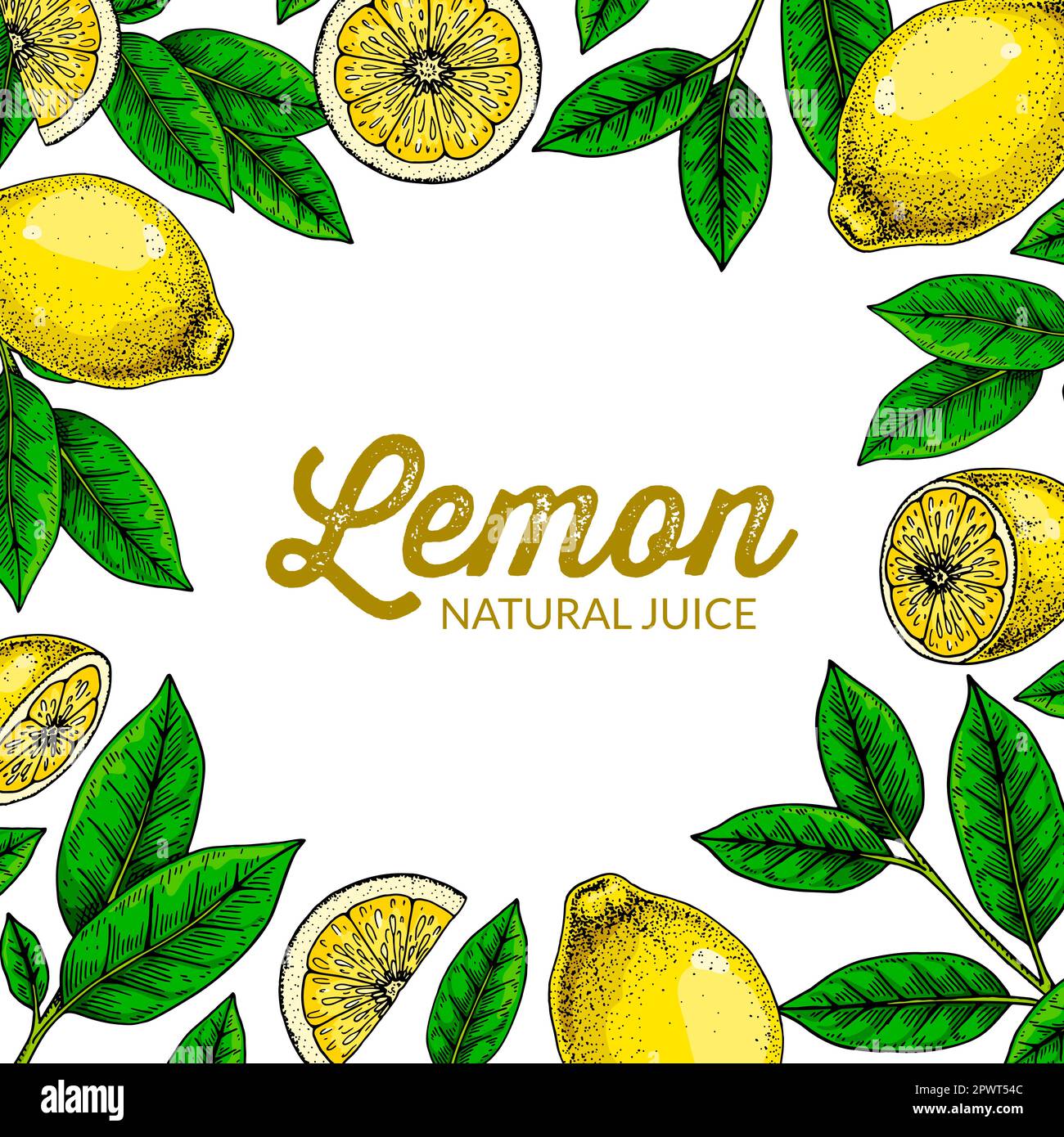 Square lemon background. Hand drawn colorful vector illustration in ...