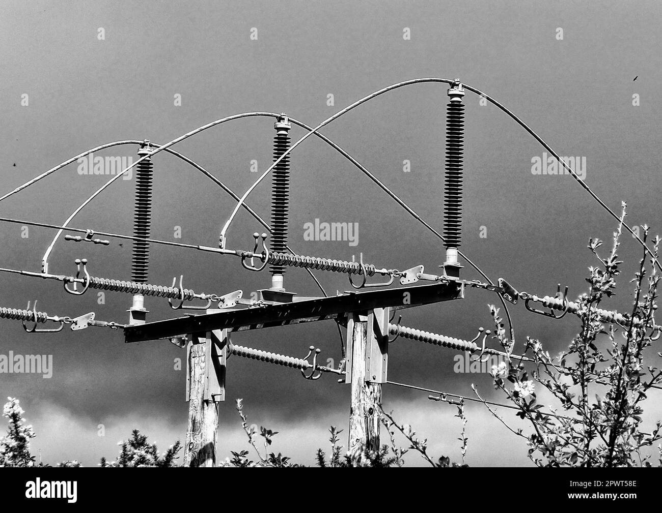 Glendinning Cables at Hugo Jenyns blog