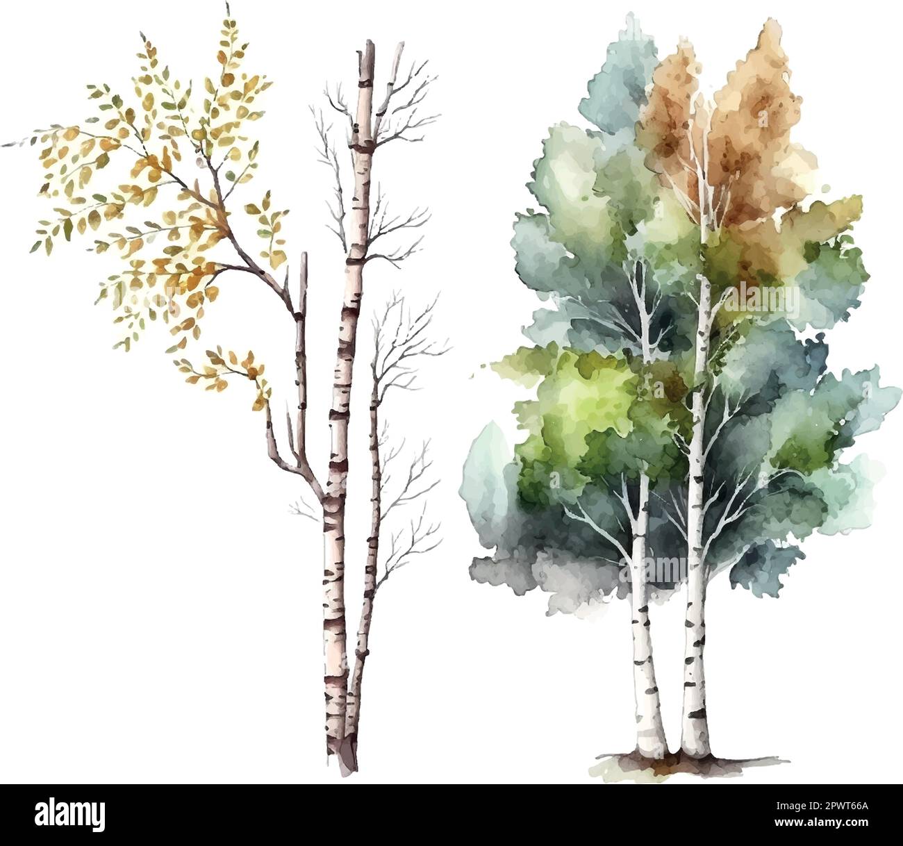 Watercolor birch trees Russia tree Design element for wallpapers, web ...