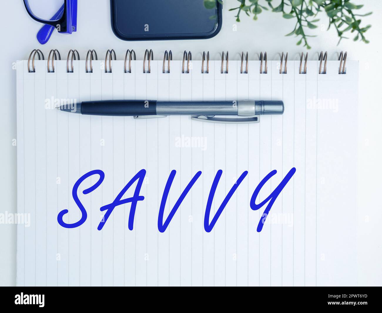 Conceptual caption Savvy, Word for having perception, comprehension in ...