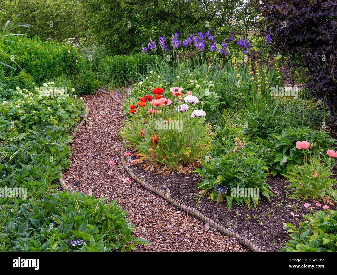 Narrow winding garden path hi-res stock photography and images - Alamy