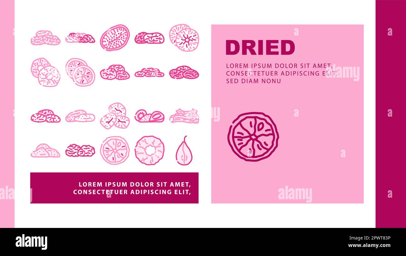 fruit dry snack nut mix landing web page header vector. food healthy ...
