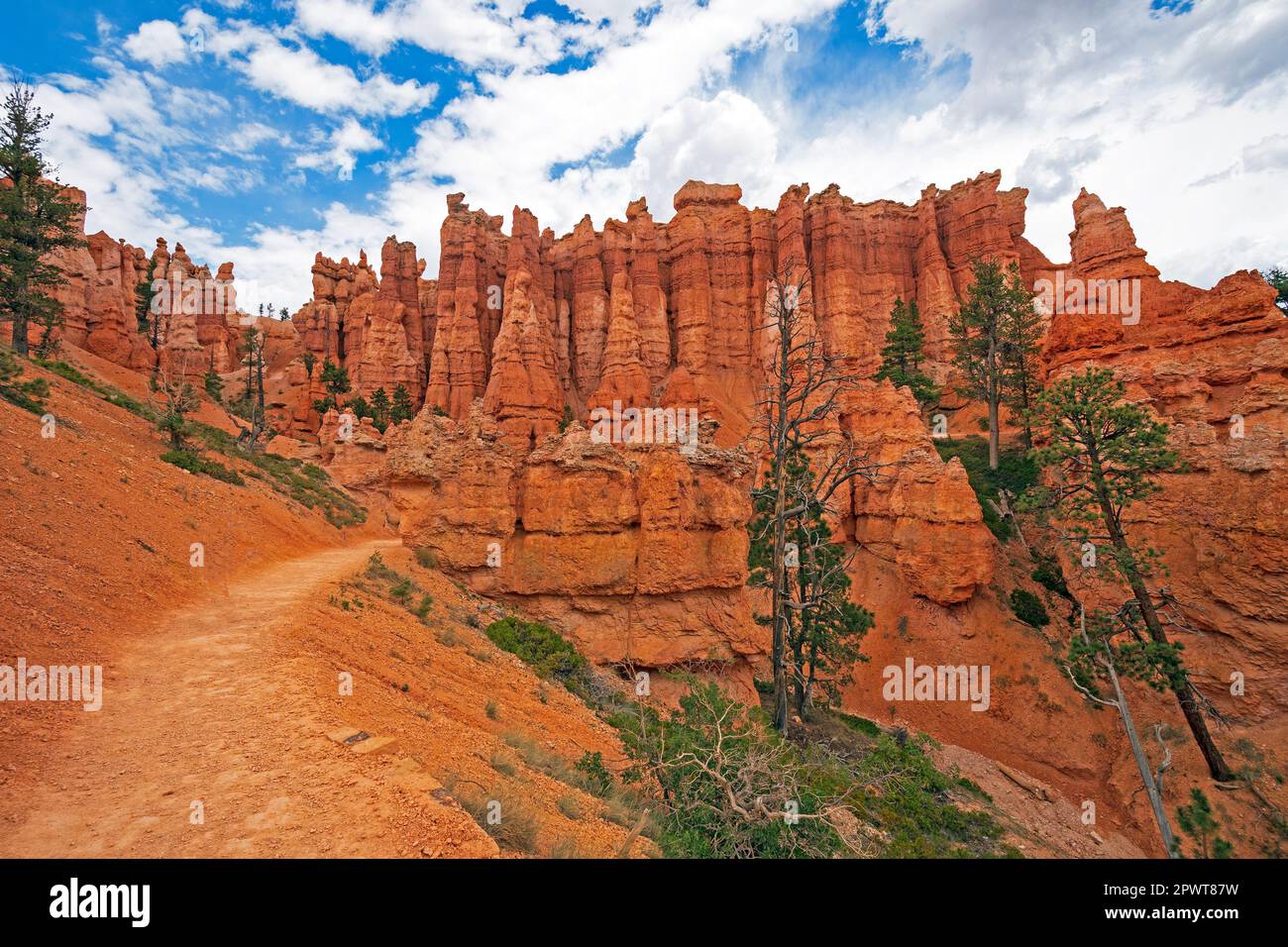 Remote Trail Through the Hoodoos in Bryce Canyon National Park in Utah ...