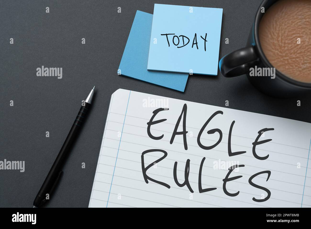 Handwriting text Eagle Rules, Internet Concept a huge set of design ...