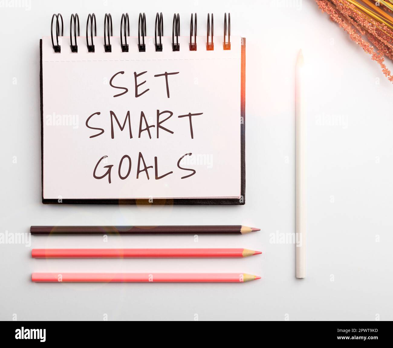 Conceptual display Set Smart Goals, Business showcase Establish ...