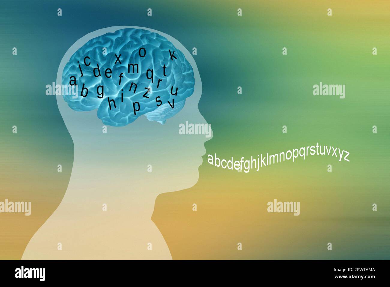 human head profile with letters inside the brain, communication concept ...