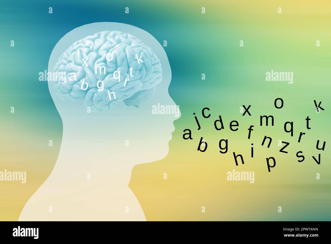 human head profile with letters inside the brain, communication concept ...