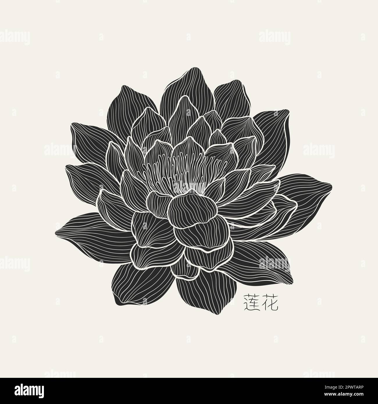 Freehand of a lotus with thin graceful lines . Lotus flower luxury ...