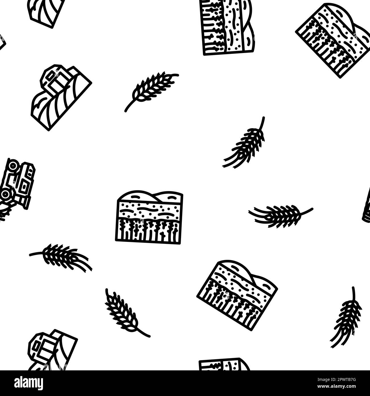 wheat grain cereal plant vector seamless pattern thin line illustration ...