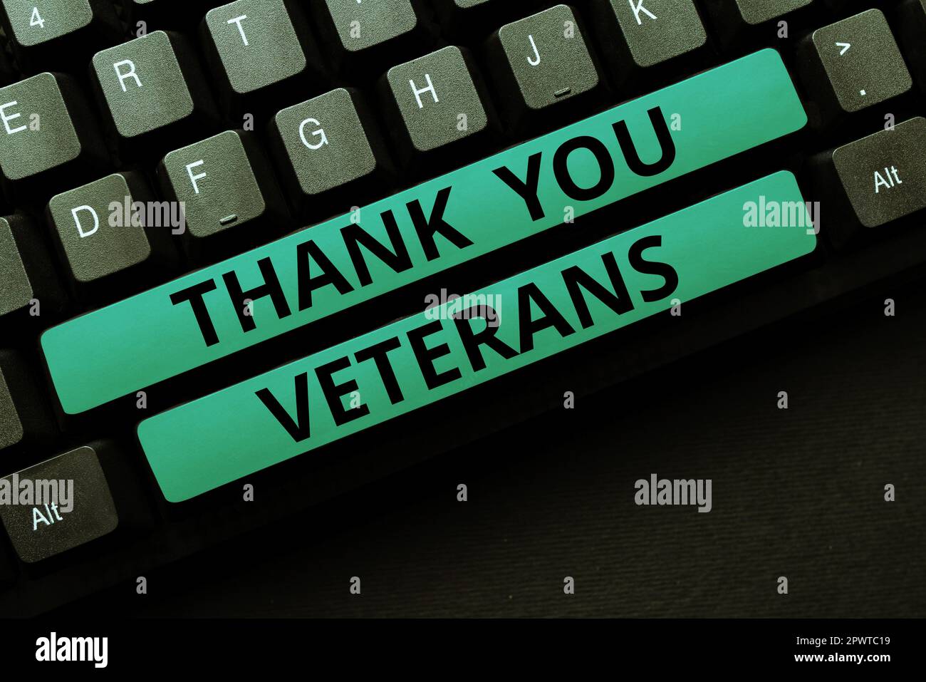 Hand writing sign Thank You Veterans, Word for Expression of Gratitude ...