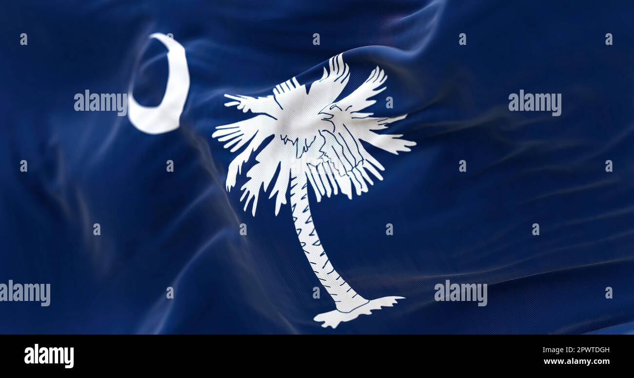 Close-up of the South Carolina state flag. Blue field with white ...