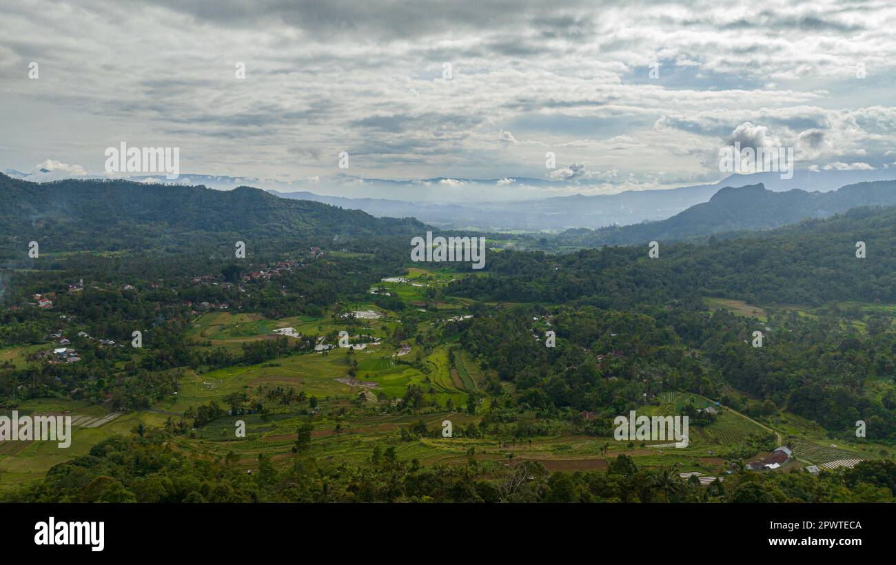 Farmland with plantings and mountains. Agricultural landscape ...