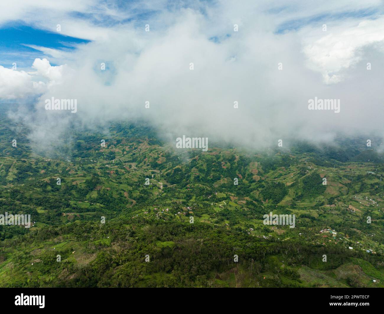 Agricultural land and cultivated plants seen through the clouds in a ...