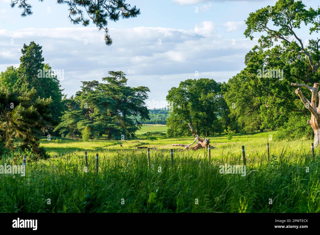 English countryside valleys and hills far into the distance, England's ...