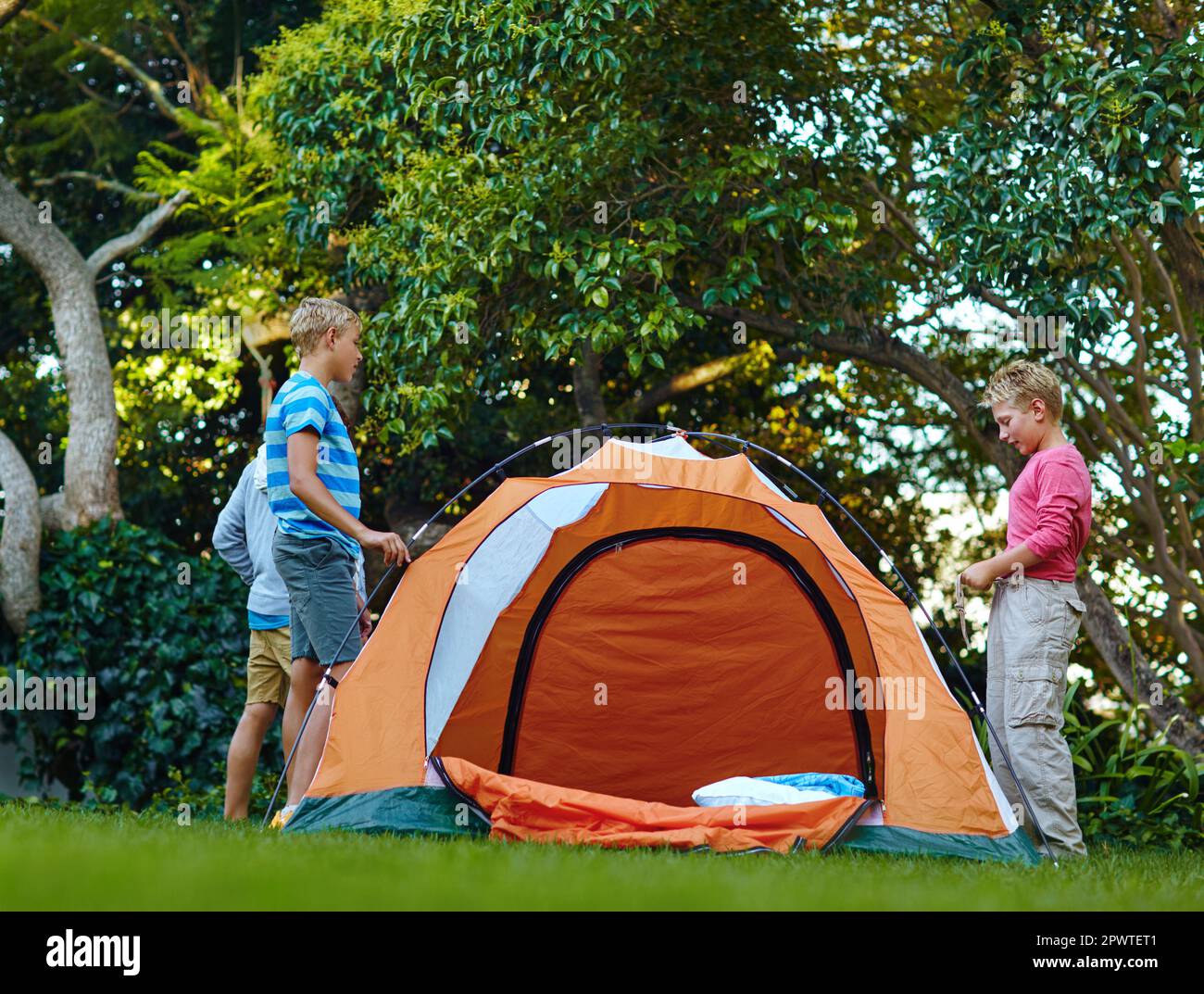 Setting up camp as a team. three young boys putting up their tent Stock ...