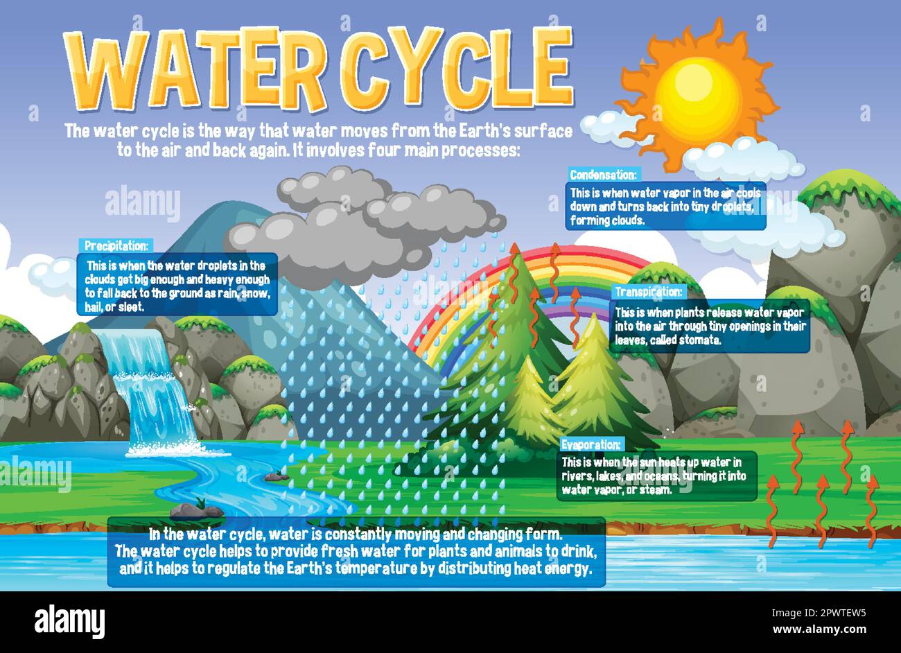 Water Cycle for Science Education illustration Stock Vector Image & Art ...