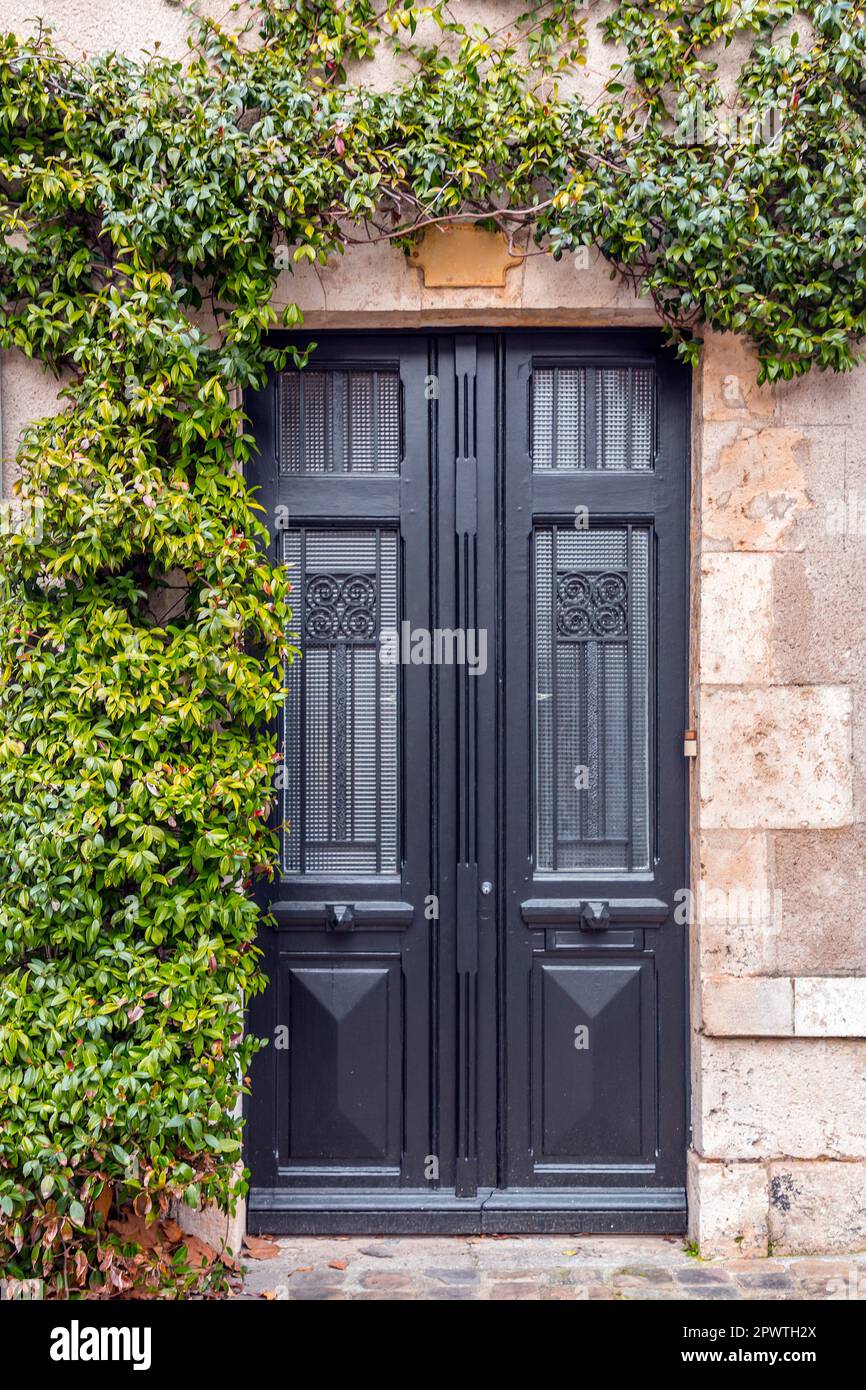 Old and beautiful ornate door, classic architectural detail Stock Photo ...