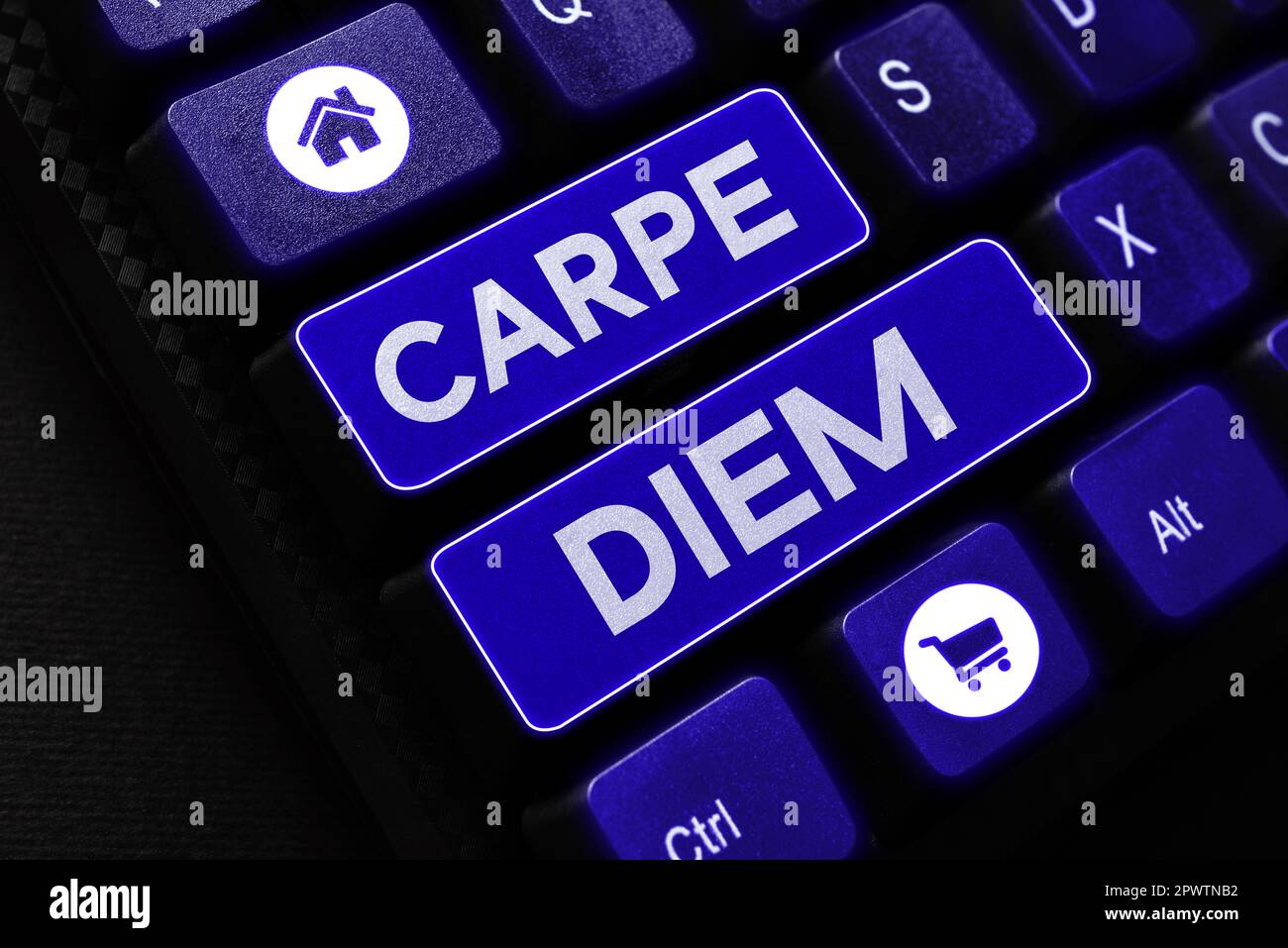 Hand writing sign Carpe Diem, Word Written on public festival which ...