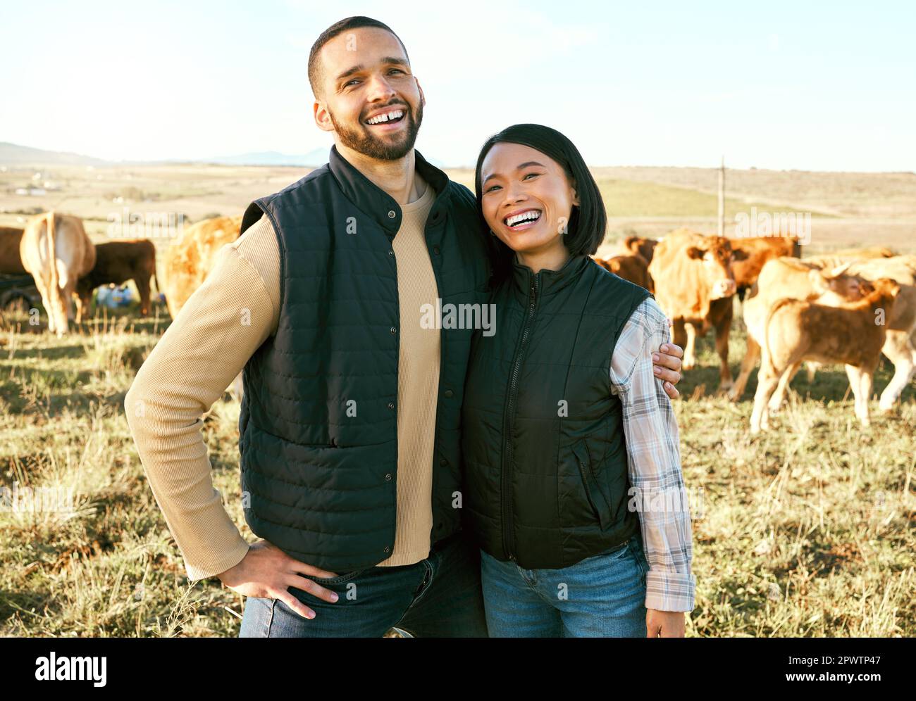 Portrait, farm and couple on cattle farm, smile and happy for farming ...