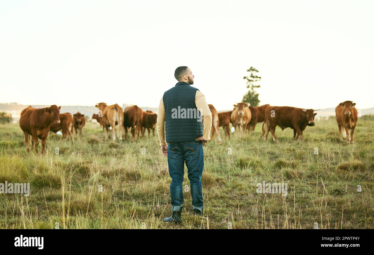 Man working dairy farm field hi-res stock photography and images - Alamy