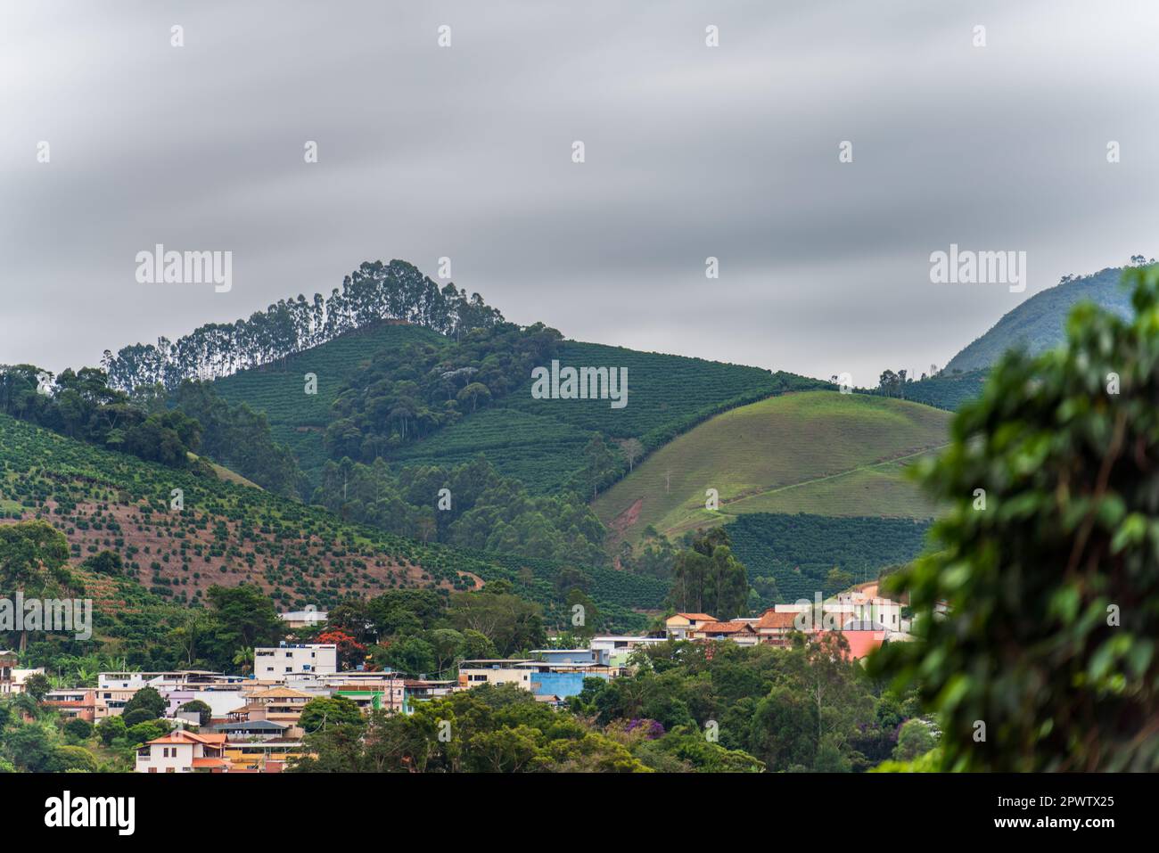 Green Valley Village with Coffee Plantations and Mountain Range Stock ...