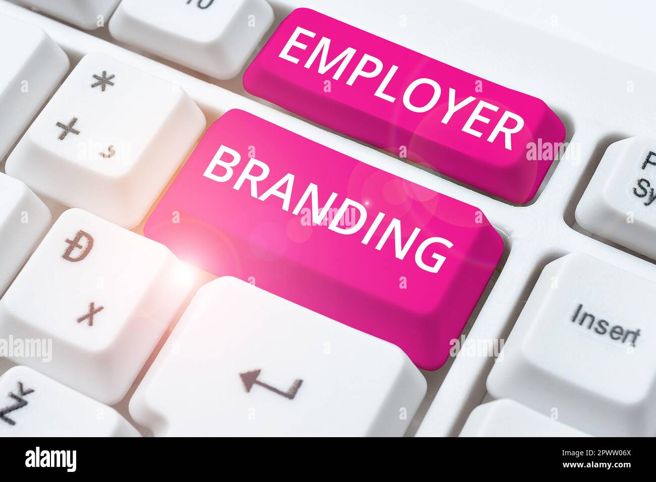 Hand writing sign Employer Branding, Word for Process of promoting a ...