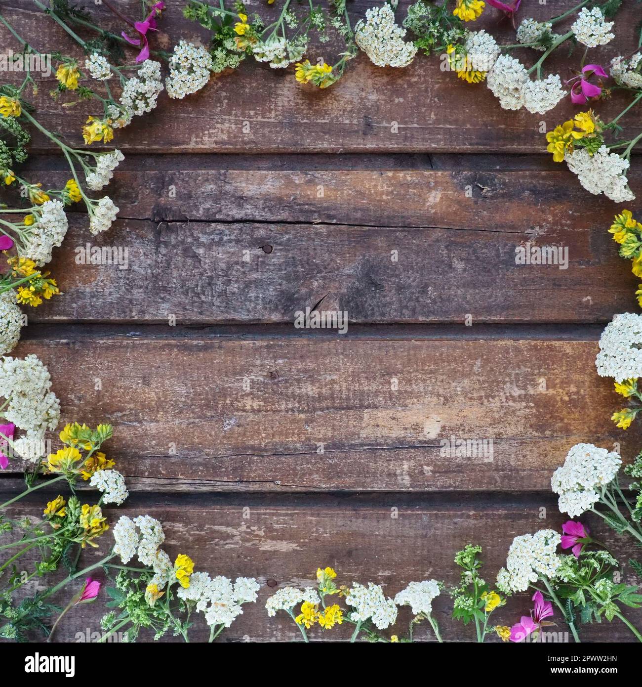 multicolored wildflowers are arranged in a circle on a wooden table ...