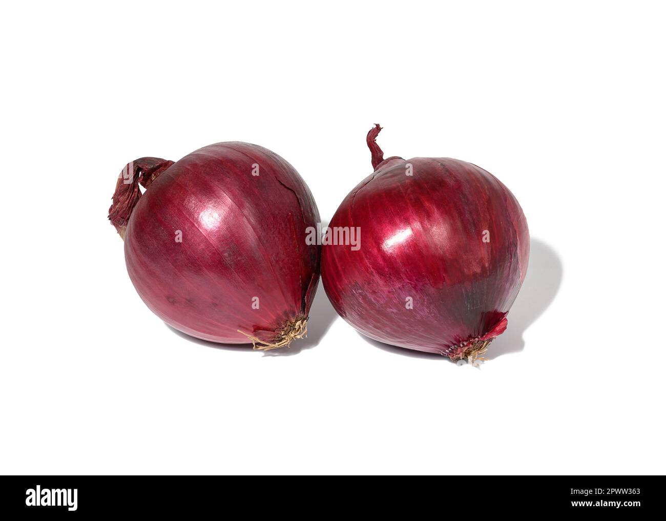 Round raw whole red onion isolated on a white background Stock Photo ...