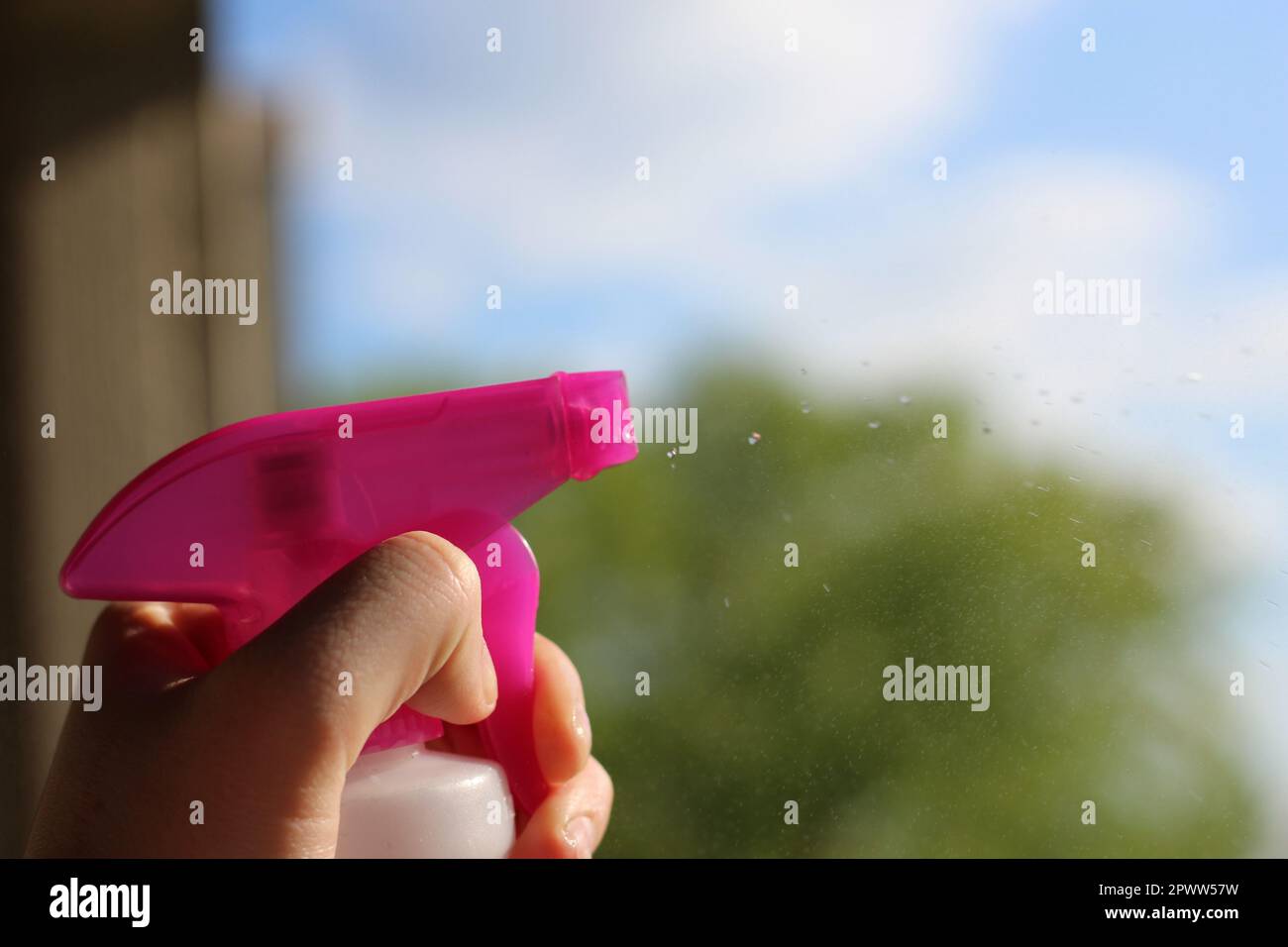 Mist of water on a hot summer day. Pink Spray bottle action shot! Stock ...