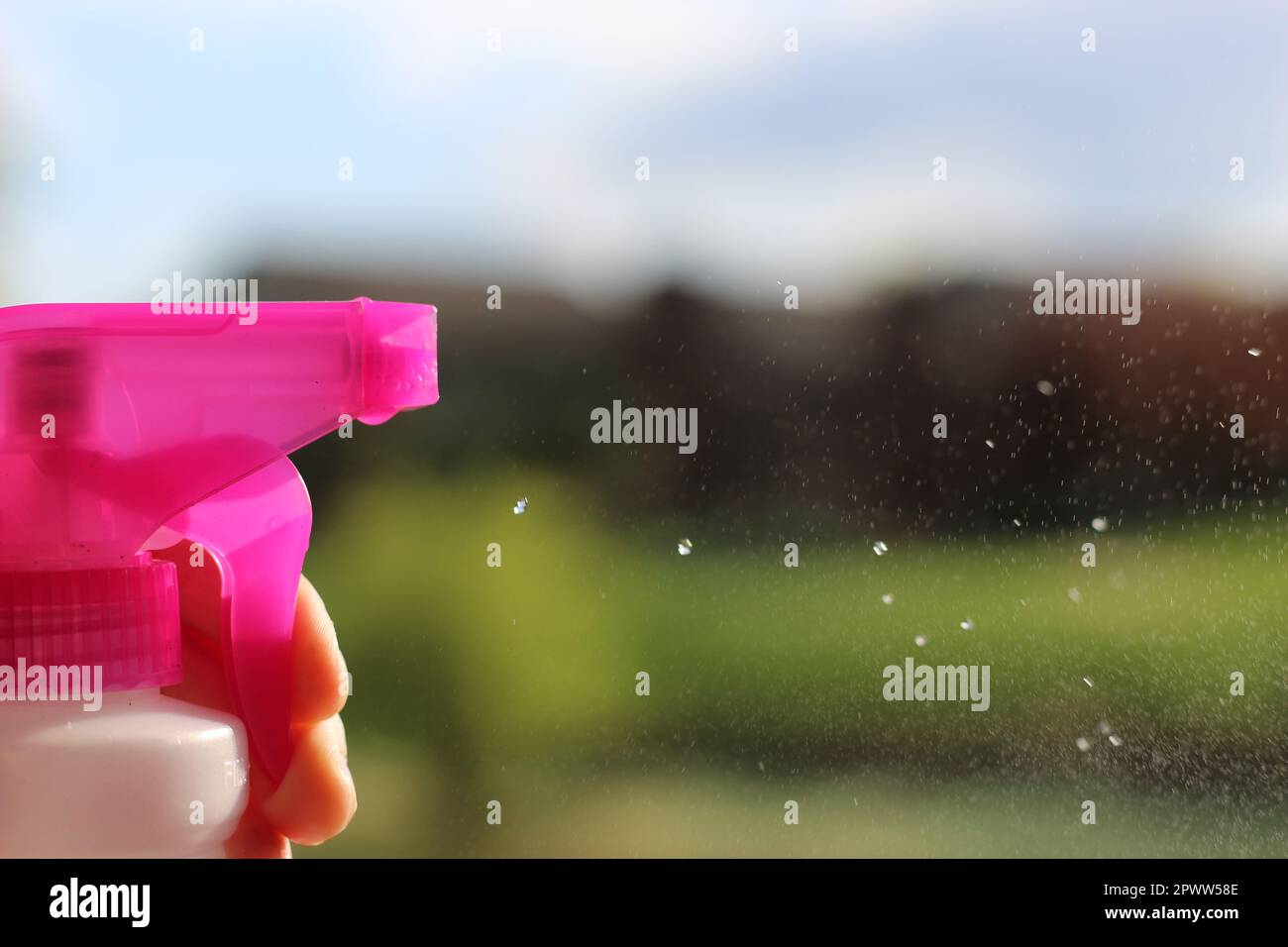 Mist of water on a hot summer day. Pink Spray bottle action shot! Stock ...