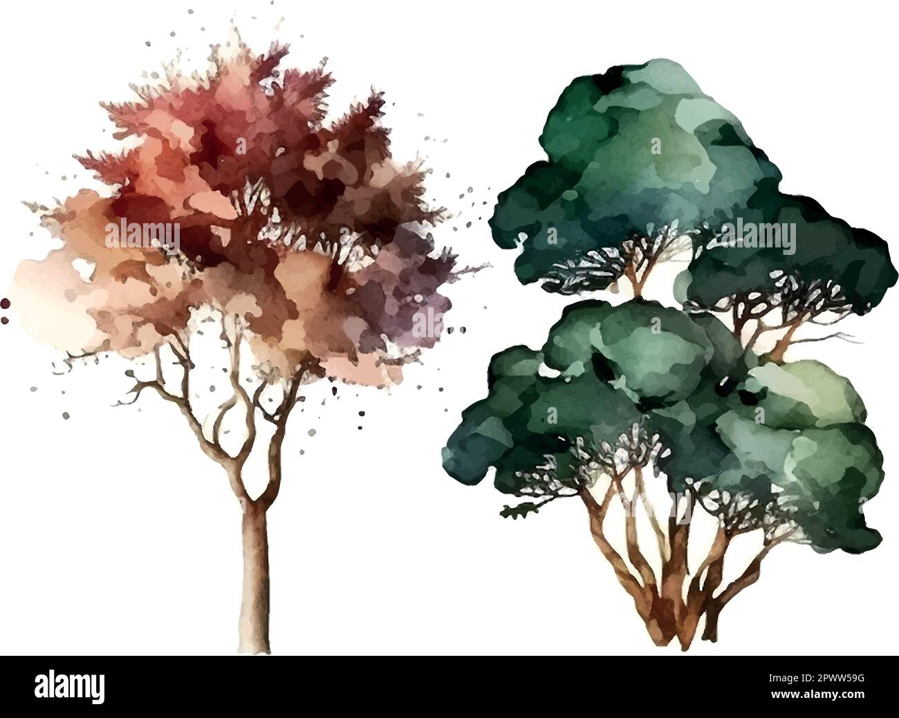 Watercolor tree hand draw vector nature painting Stock Vector Image ...