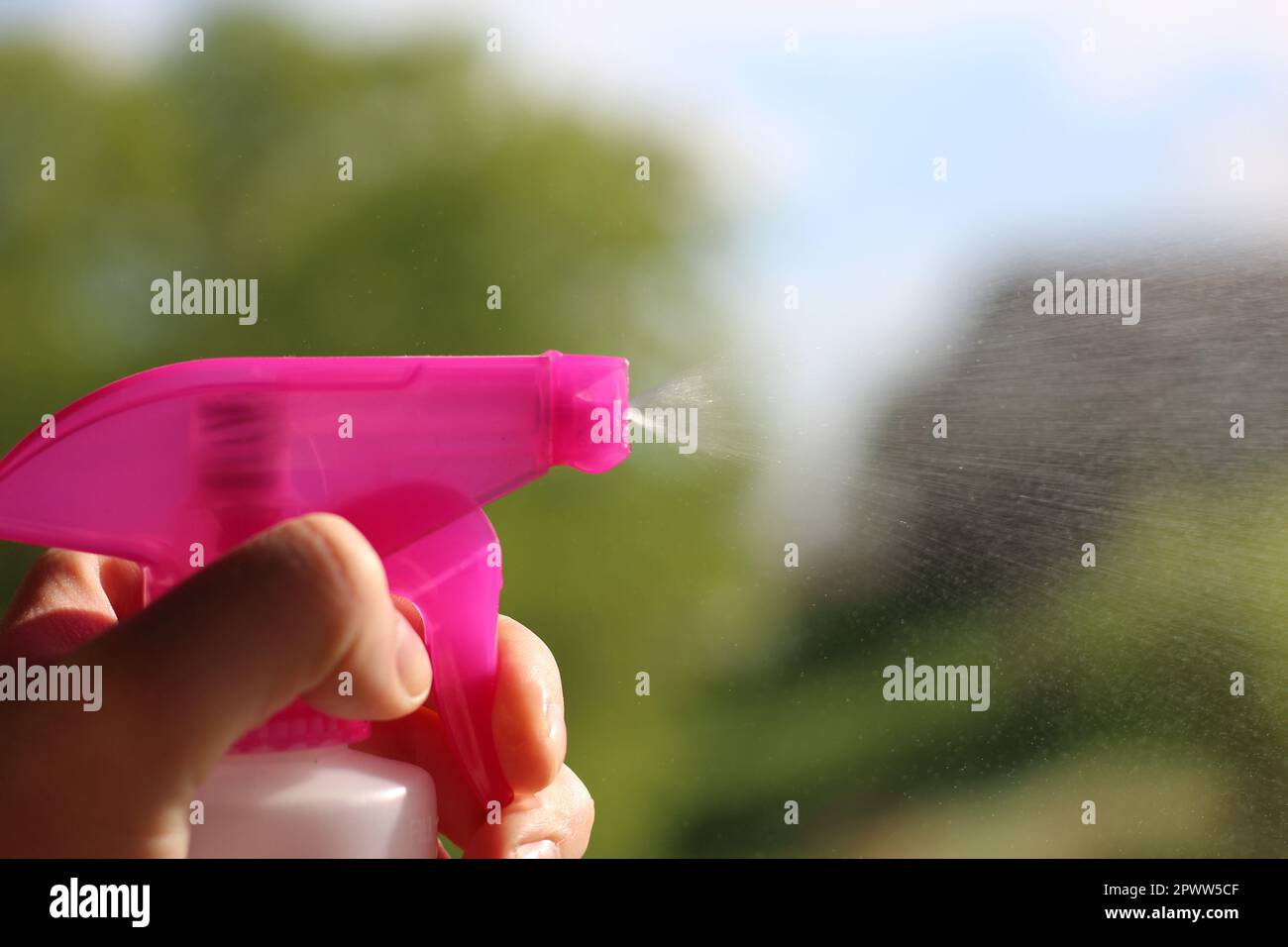 Mist of water on a hot summer day. Pink Spray bottle action shot! Stock ...