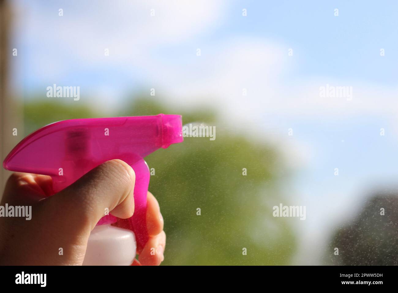 Mist of water on a hot summer day. Pink Spray bottle action shot! Stock ...