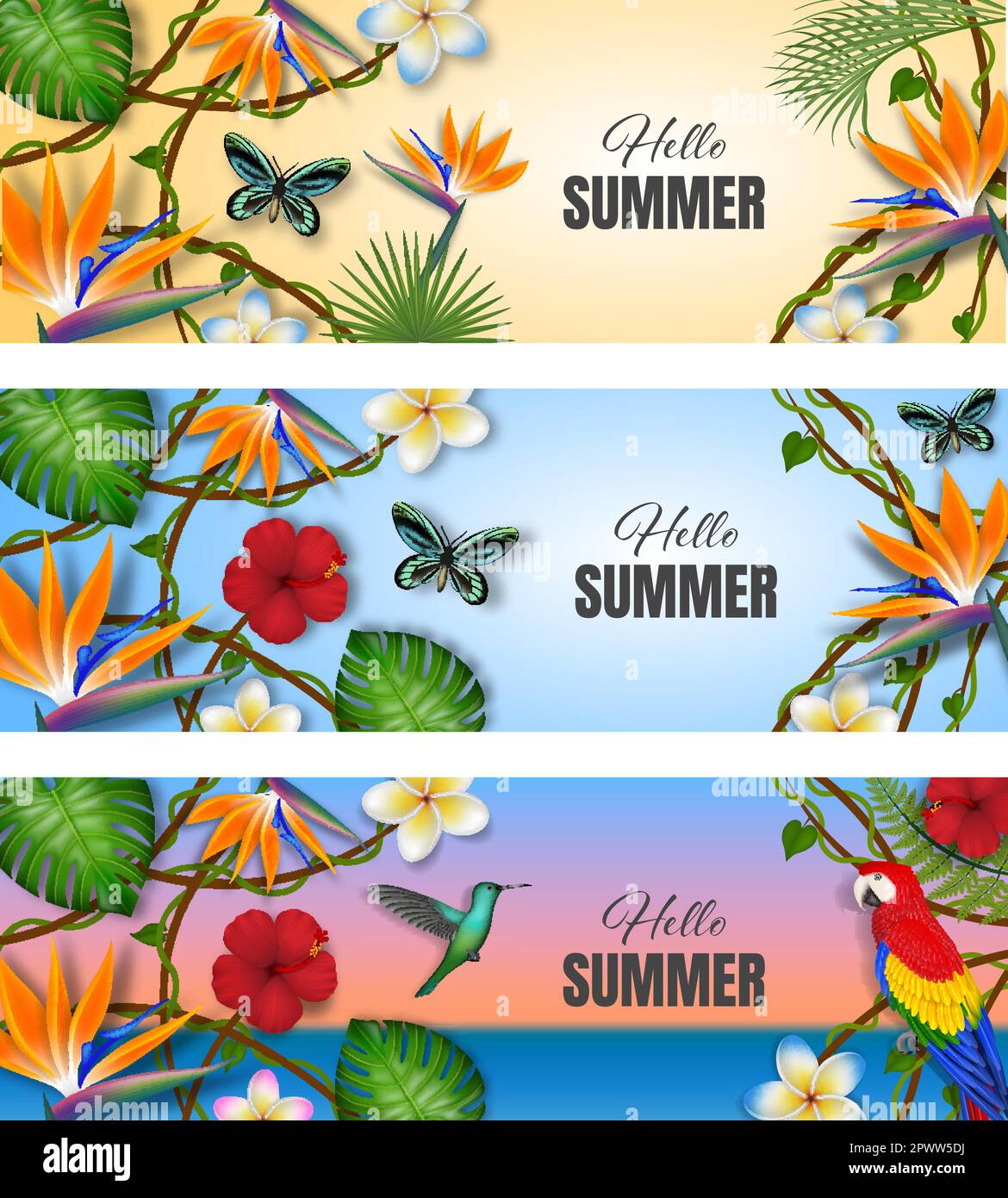 Summer background with colorful inflatables on pool water. Summer ...