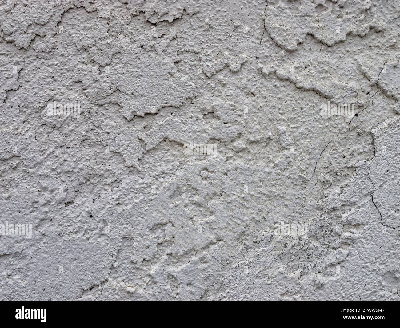 White Gray Stucco Rough Textured Wall for Background Wallpaper Stock ...