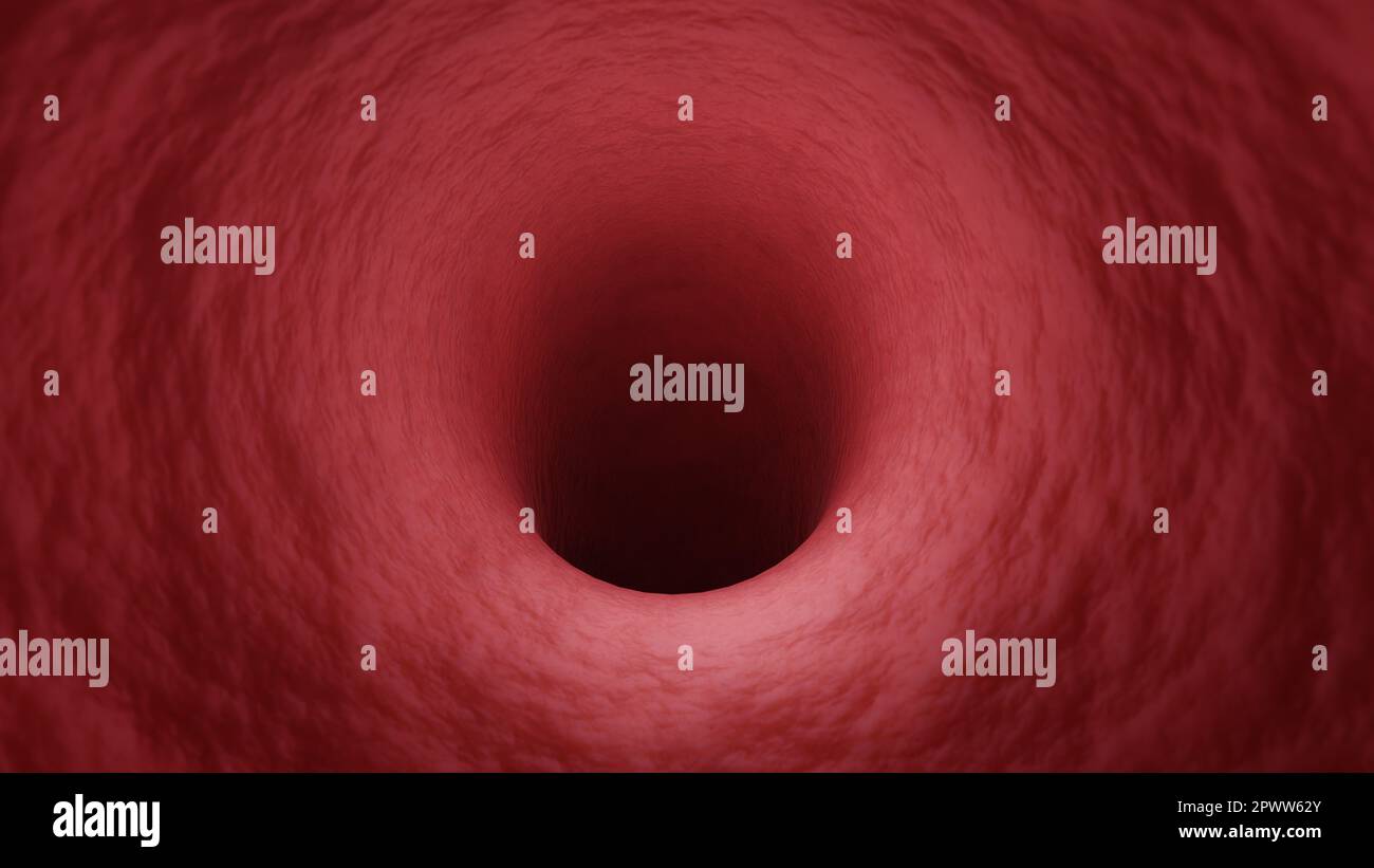 Hollow vein hi-res stock photography and images - Alamy