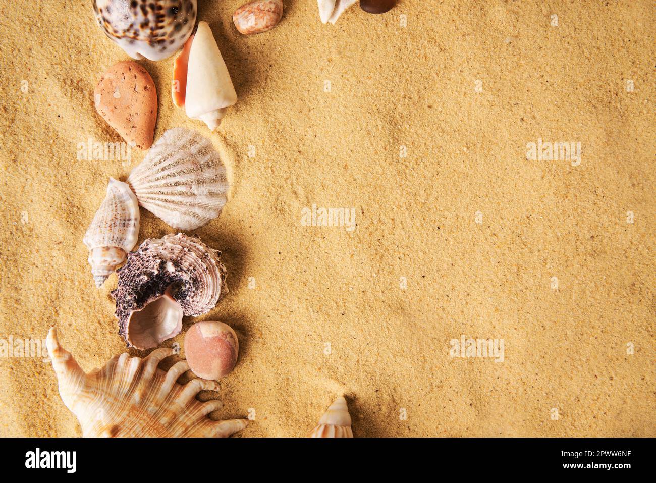 Beach Sand With Shells Wallpaper